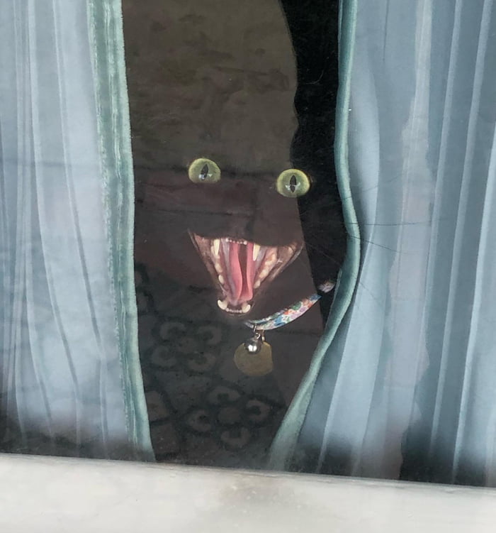 The Face 9gag