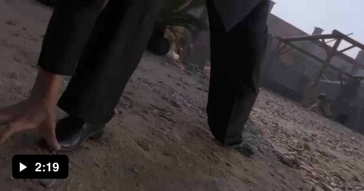 It is Wednesday, my dude - 9GAG