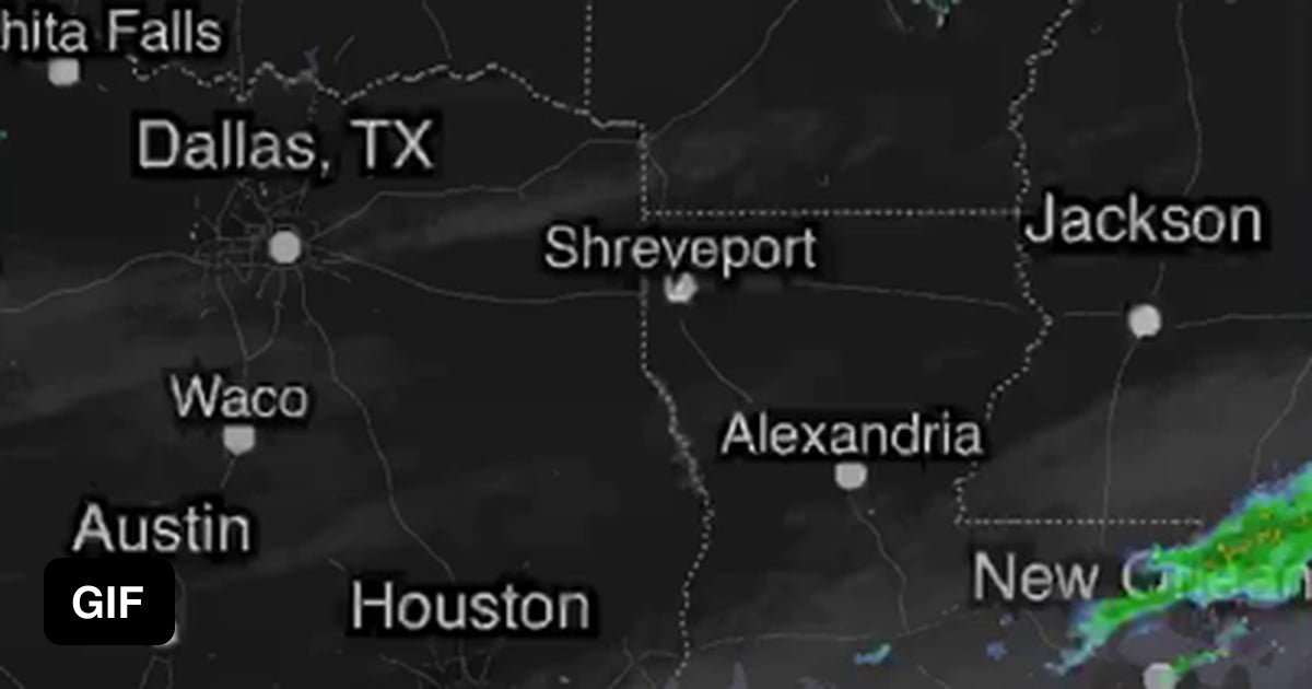 Weird radar feedback. Birds don’t fly 24 hours a day. - 9GAG