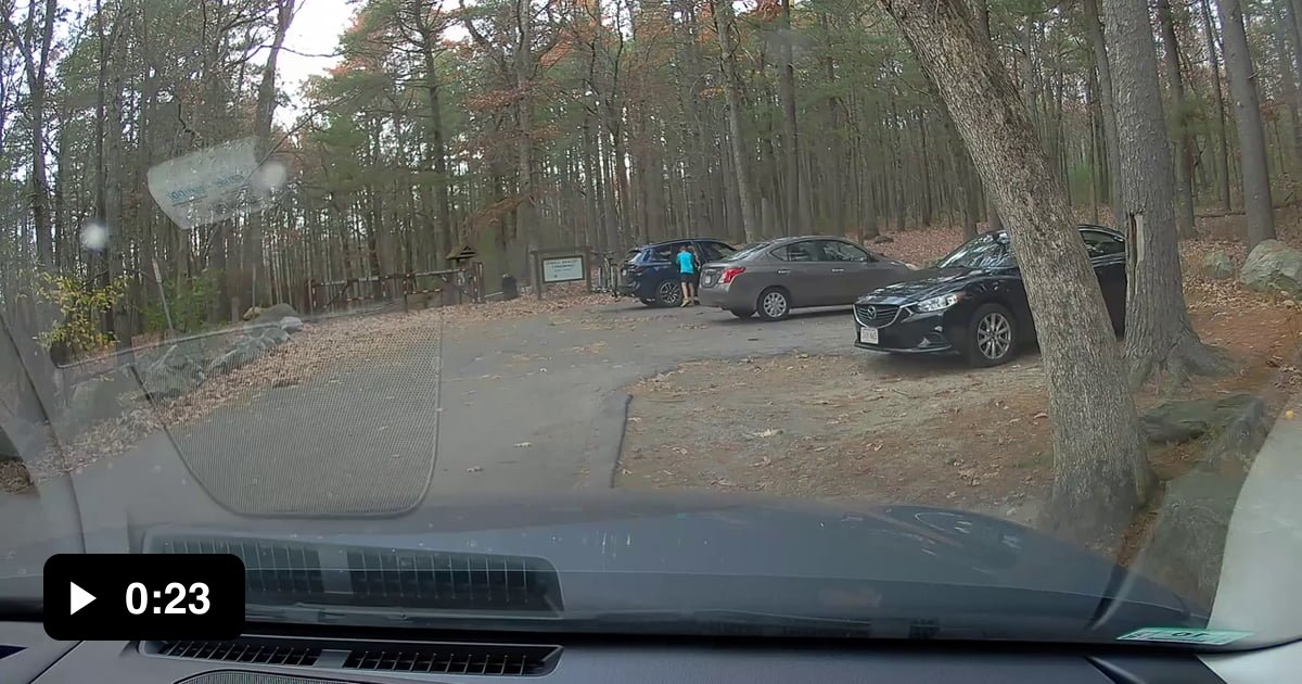 Can't even go for a walk in nature without something happening... - 9GAG