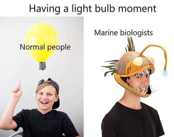 Idk a good title, so have this pun instead "Keep your friends close ...