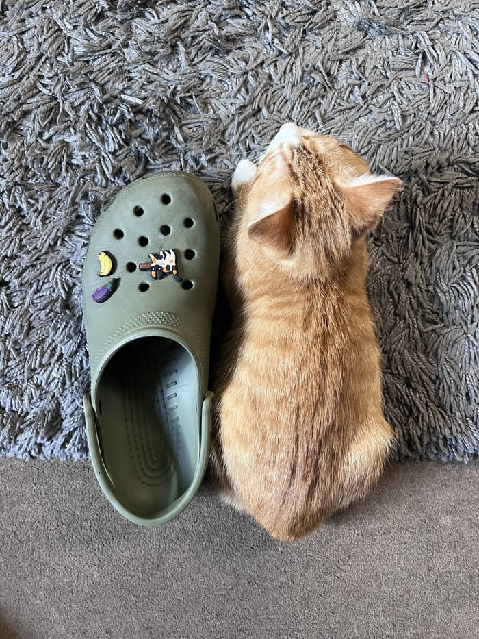 Beans (croc for reference) - 9GAG