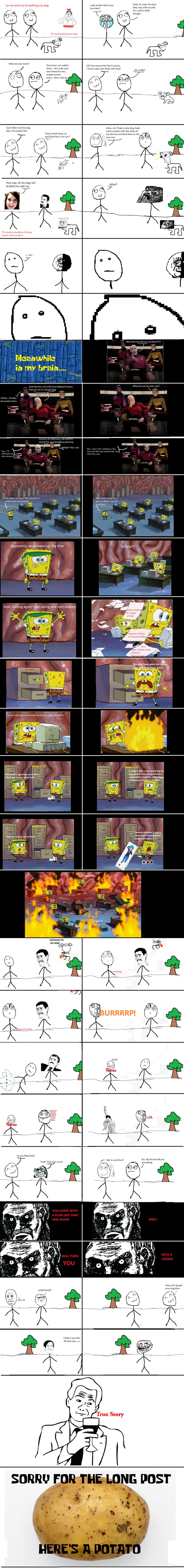 I saw the call and I stand by it. The only meme I ever created. It's an ...