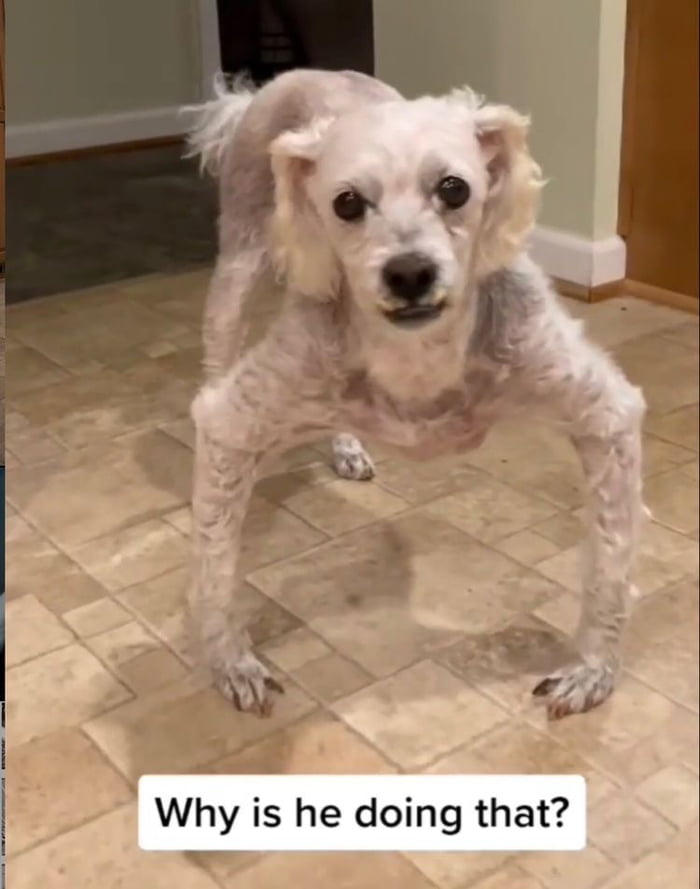 I can spot a skin walker when I see one. - 9GAG