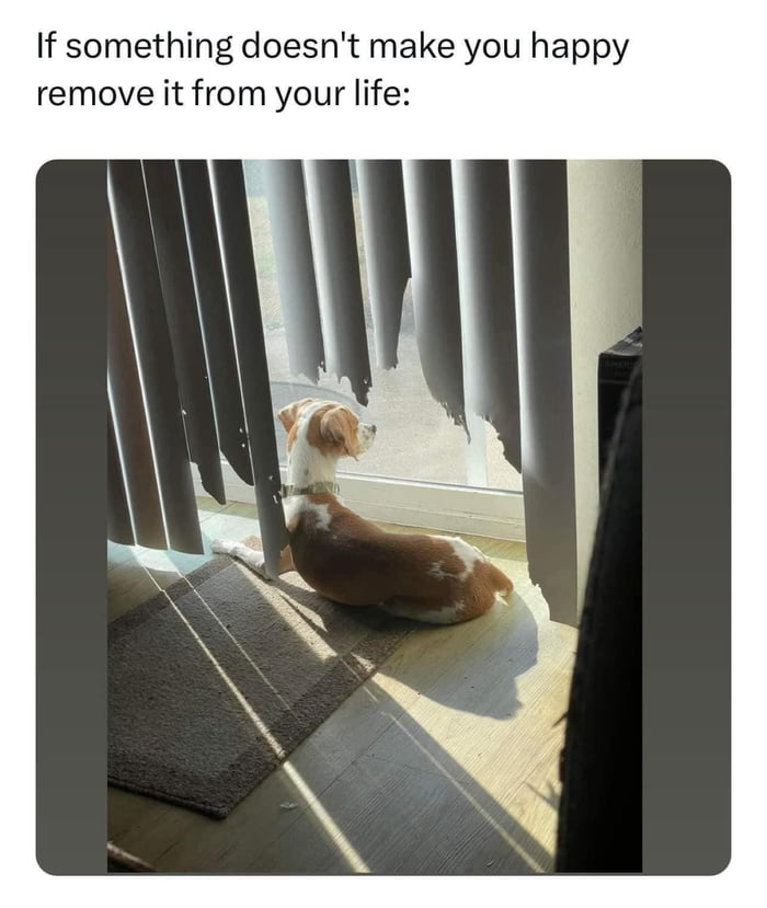 Take risks and make your own decisions….. - 9GAG