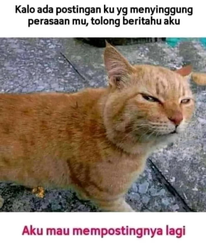This a meme now - 9GAG