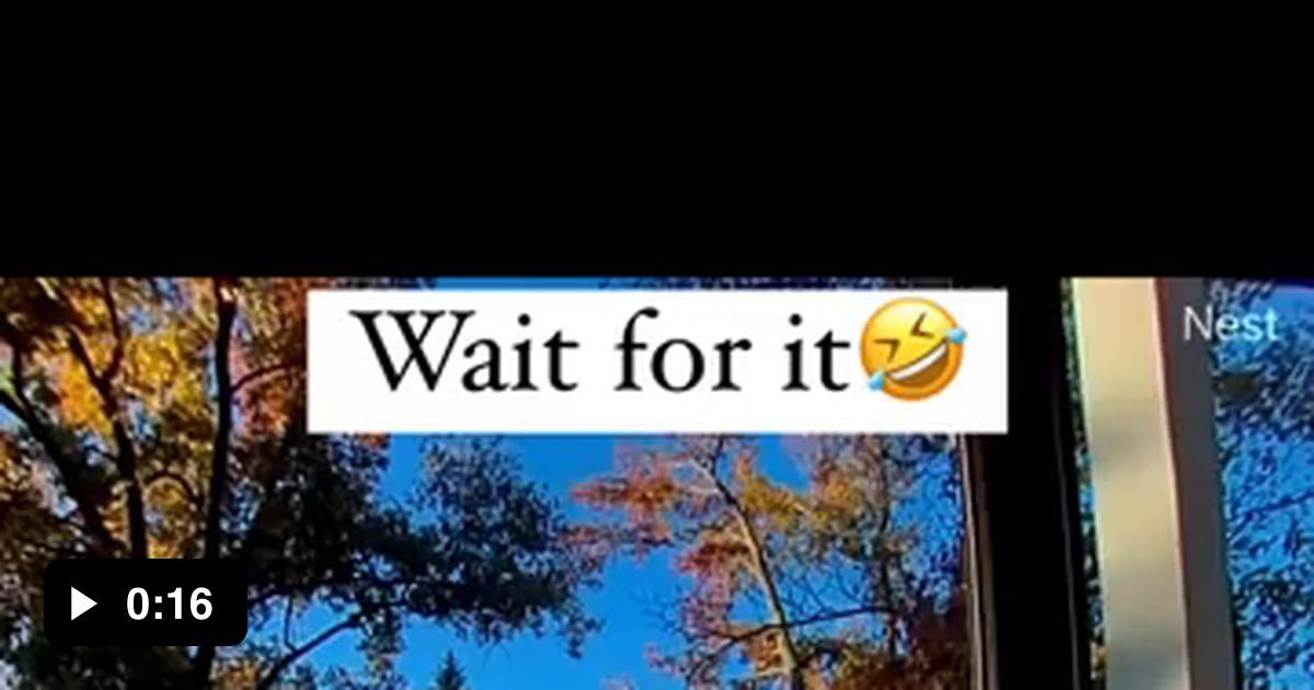 The package from hell - 9GAG