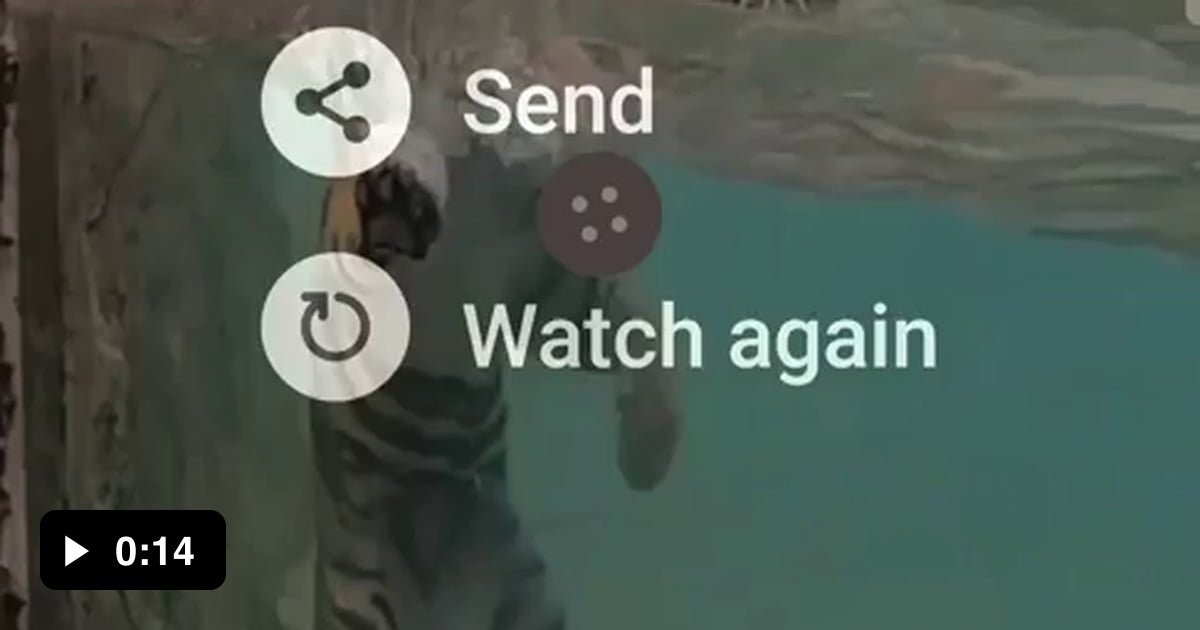 This is one big cat that LOVES the water - 9GAG