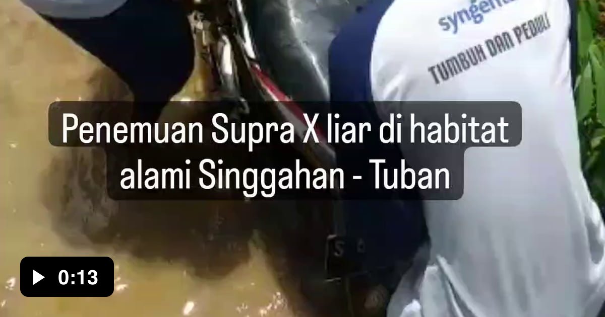 Penemuan bebek purba yang dianggap punah persi onderspod - 9GAG