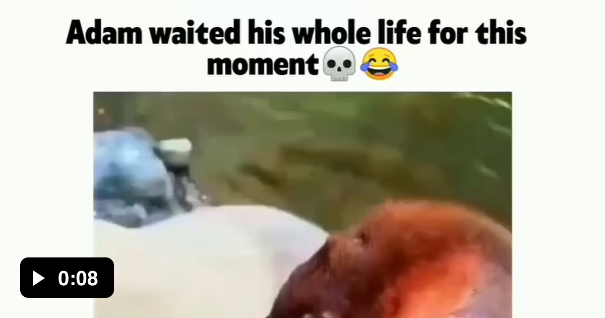 Adam. Adaaaaaaaa....... - 9GAG