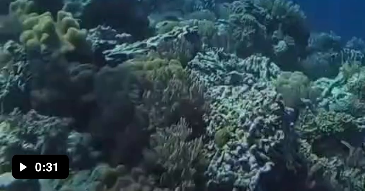 Earthquake under water while diving. - 9GAG