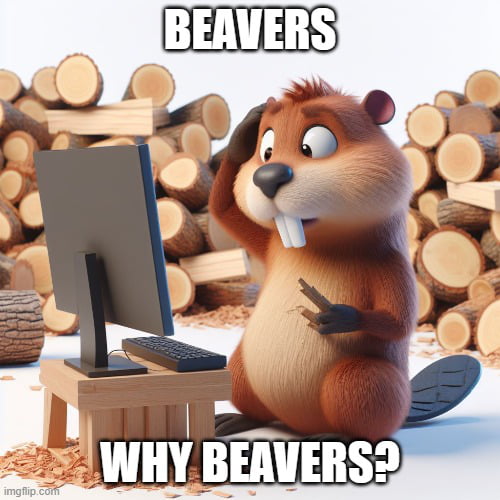 Why the beavers memes? - 9GAG
