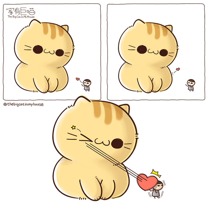 Please accept my overflowing love - 9GAG