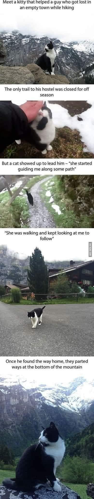 Lost and stuck - 9GAG