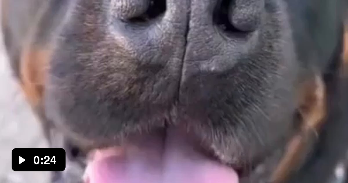 Zero hesitation - 9GAG