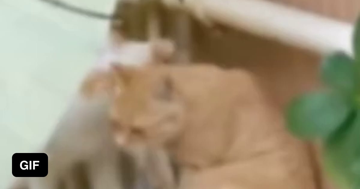 When you and your friend vibe in sync - 9GAG