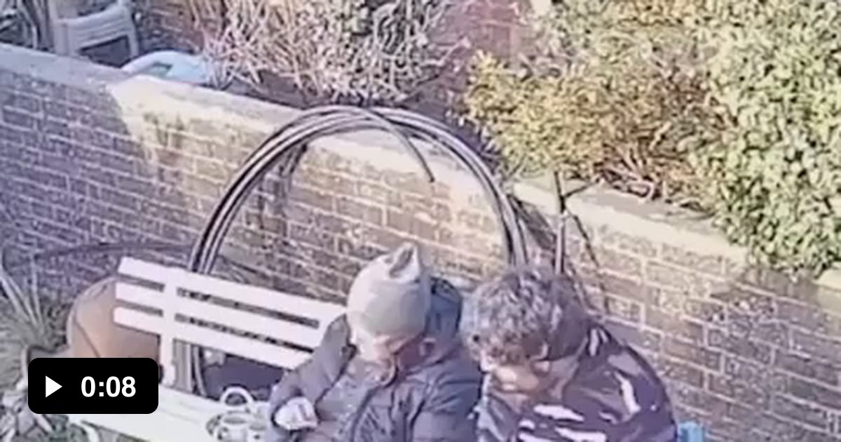 You can't even trust the resistance of a bench - 9GAG