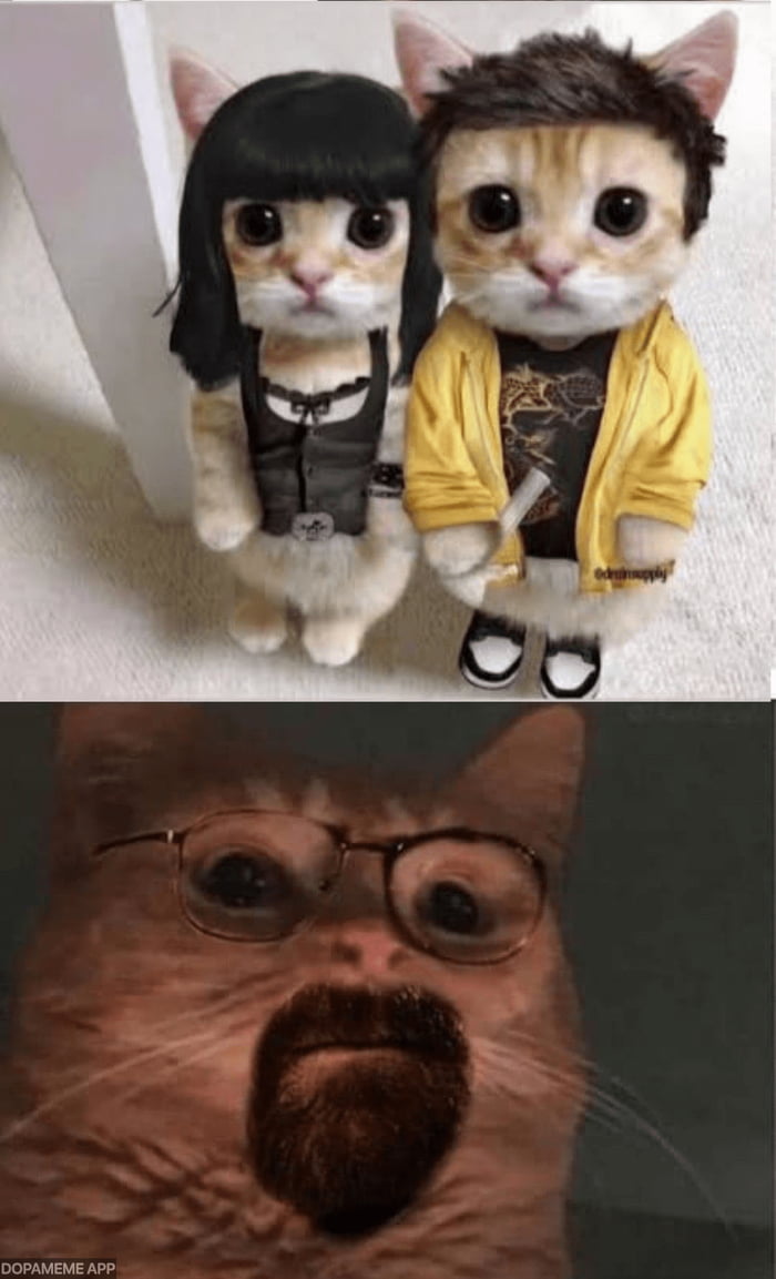I am the one who Meows - 9GAG