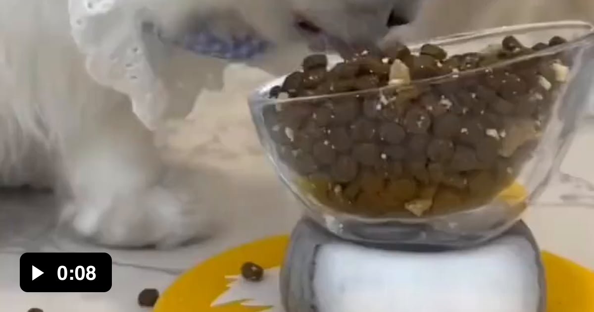 When someone says you can have only one bite - 9GAG