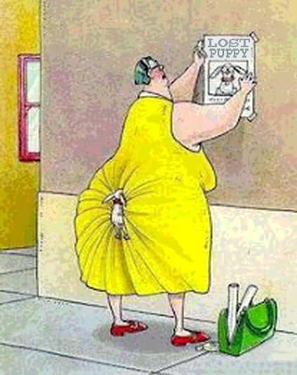 Poor little thing - 9GAG