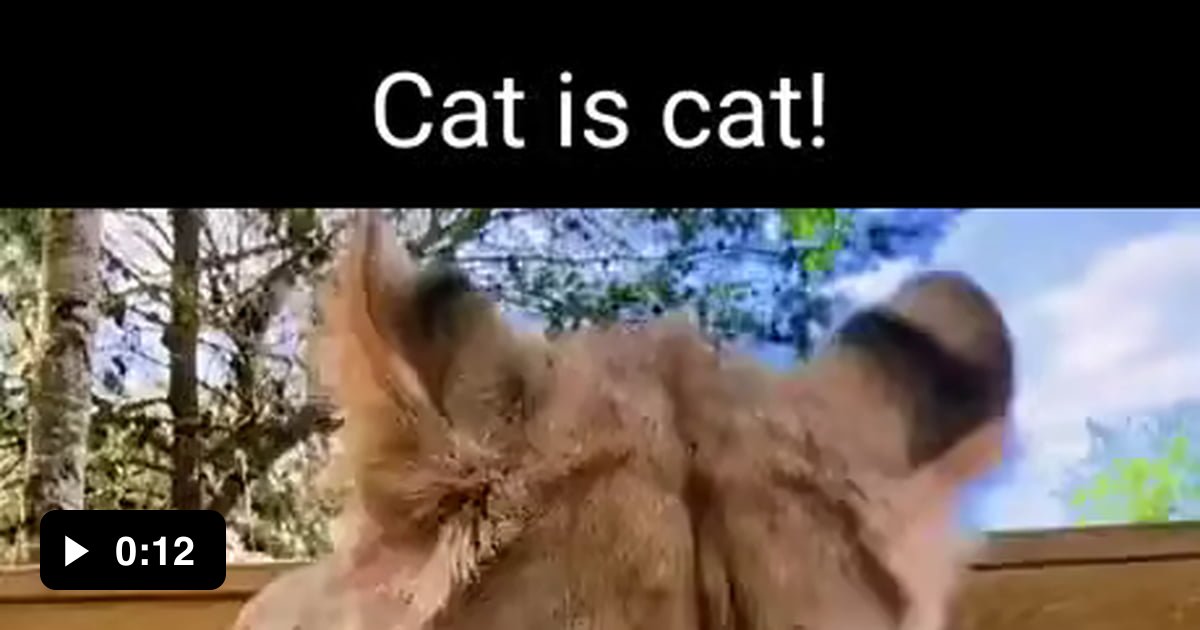 Daily Dose 9gag 3780