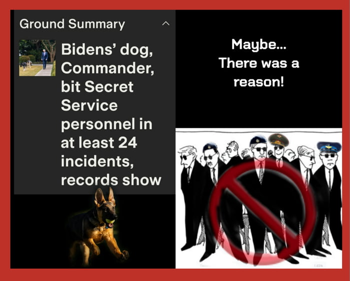 Dogs can sense "evil" - 9GAG