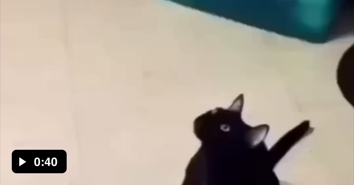 Screw you Marcus - 9GAG