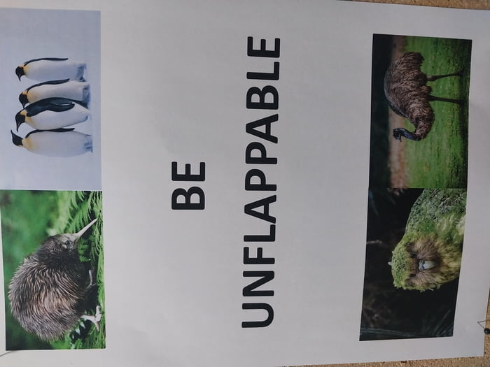 Unflappable. What do you think of corny motivational posters at work ...