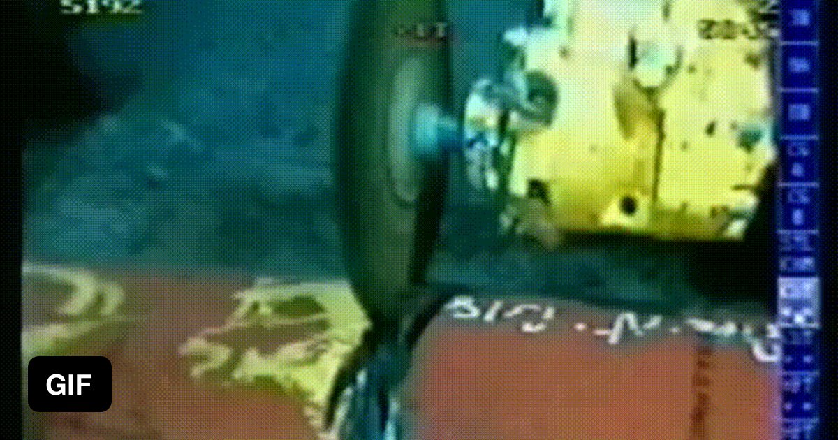 Crab crushed by immense water pressure - 9GAG