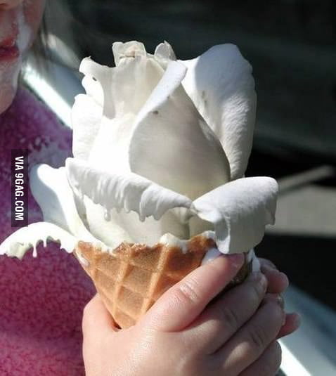 Awesome ice-cream! - 9GAG