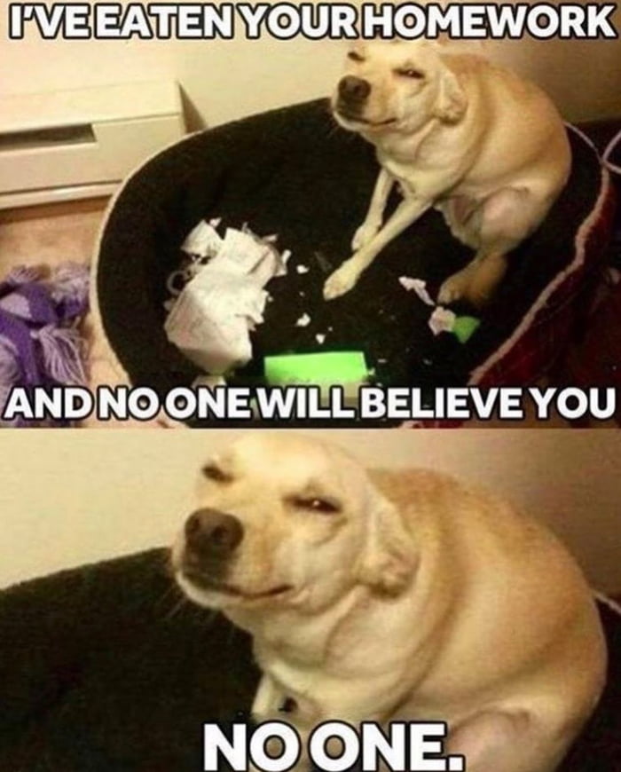 Evil doggo... - 9GAG