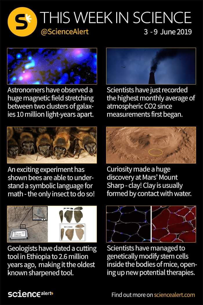 This Week In Science 9gag