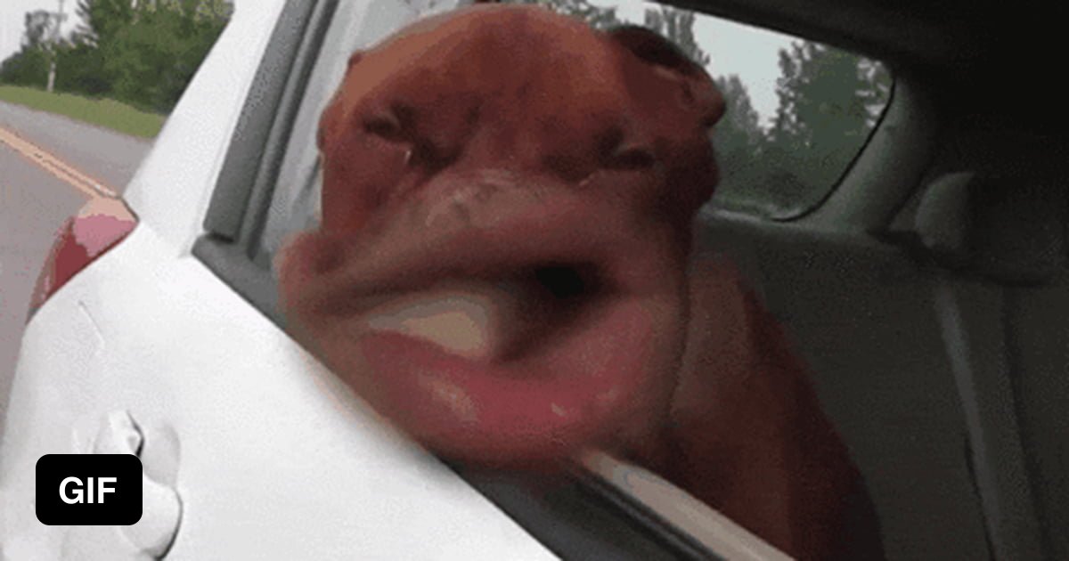 Nom nom nom nom - 9GAG