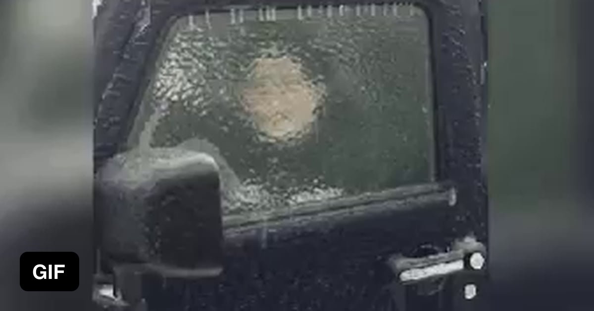 She forgot to roll down the window. - 9GAG