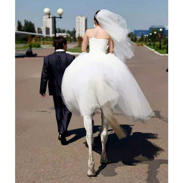 He married a centaur. - 9GAG