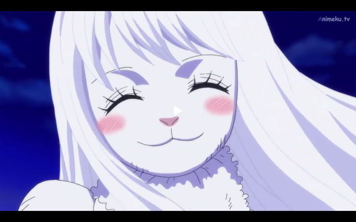 Why is everybody now like: "OMG a furry in One Piece!!!" SHE WAS A ...