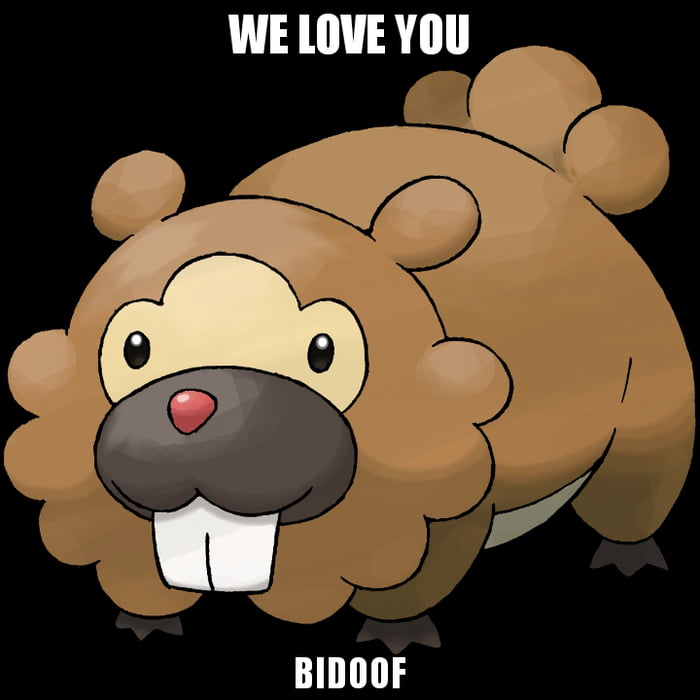 We love you beautiful Bidoof - 9GAG
