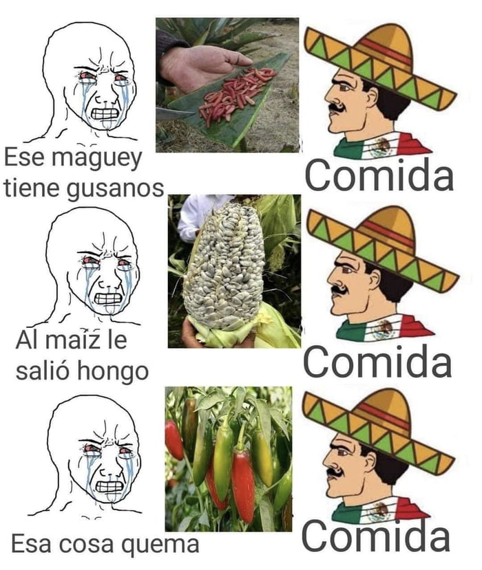 Comida - 9GAG