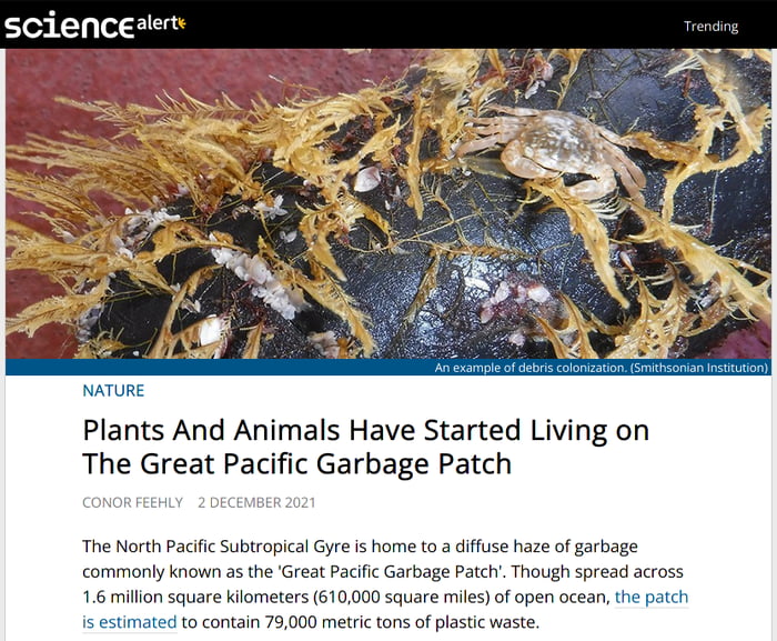 Floating unclaimed mass of land is still being unused - 9GAG