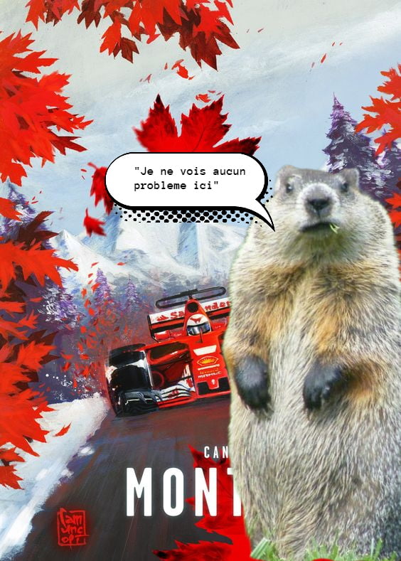 F Marmot - 9GAG