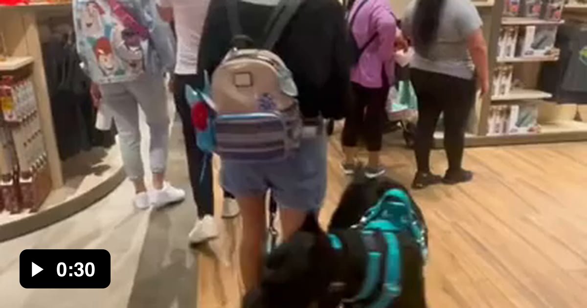 Service dog performing crowd control - 9GAG