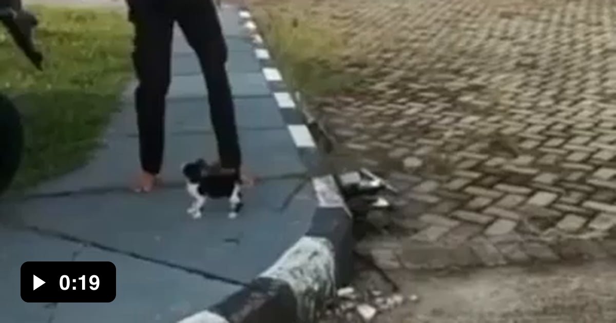 Well done soldier - 9GAG