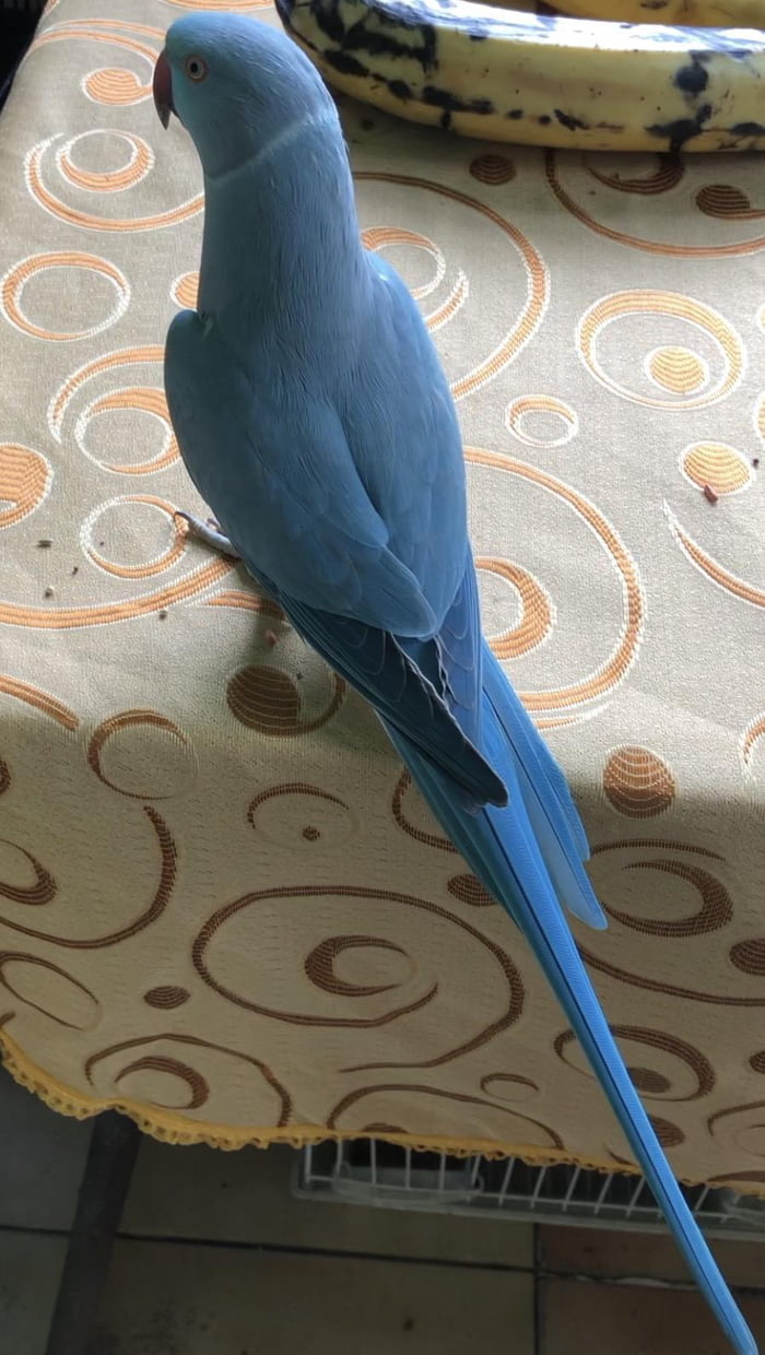 What Do You Think About Blue Sky Isn t He Handsome 9GAG