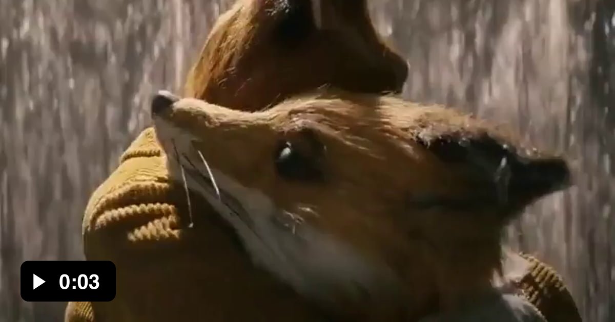 In Fantastic Mr Fox (2009), Mrs Fox is named Felicity. Wes Anderson ...
