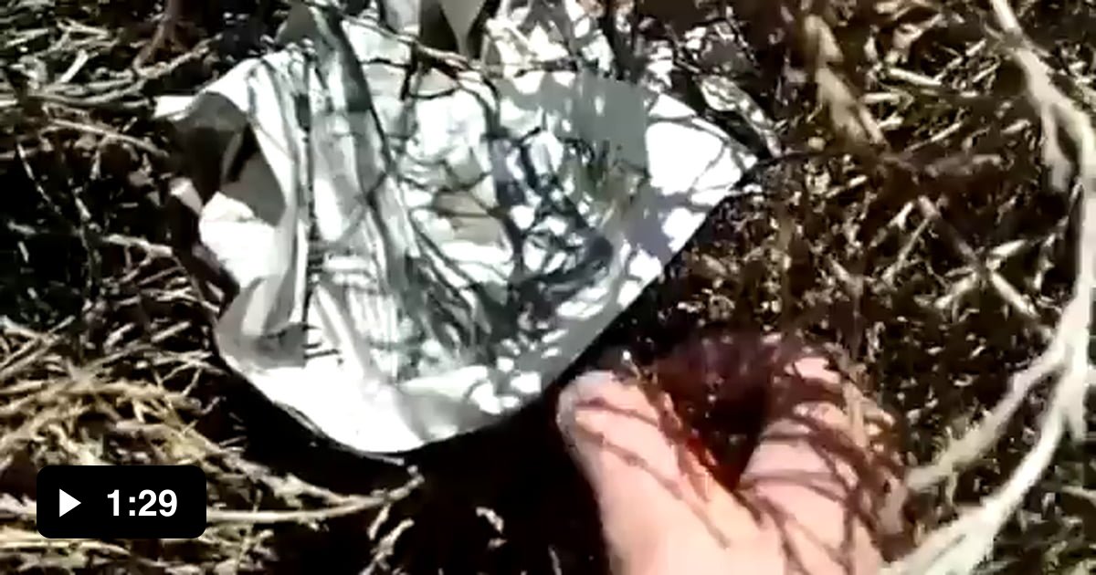 Burning a huge pile of tumbleweeds - 9GAG