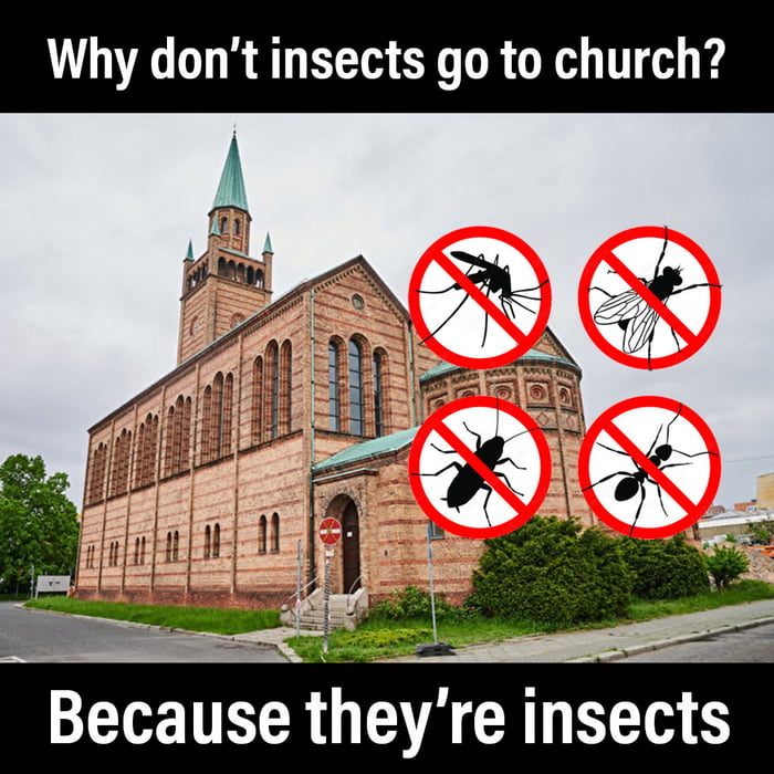 Insects, it's that time of the year again. Then go to church. - 9GAG