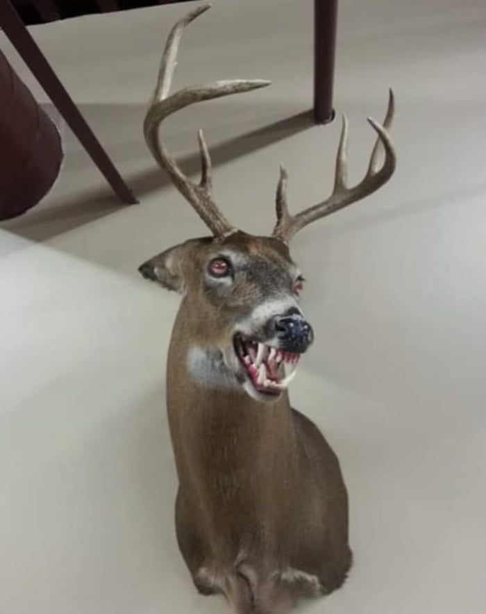 Volkhorn, the Imitator - 9GAG