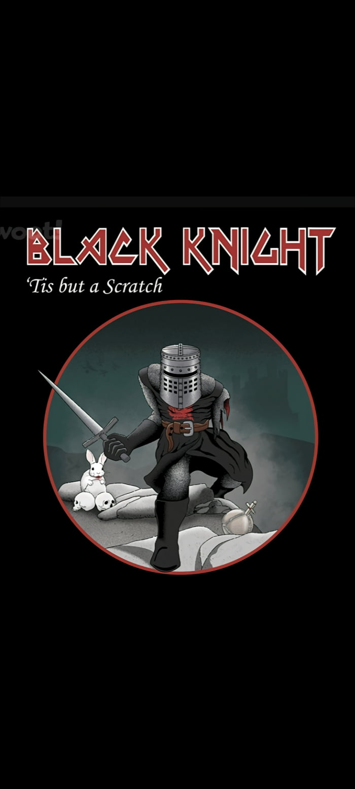 Black Knight ~ 'Tis But a Scratch (1440x3200) - 9GAG
