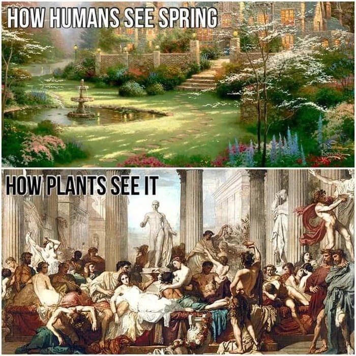 Different perspectives - 9GAG