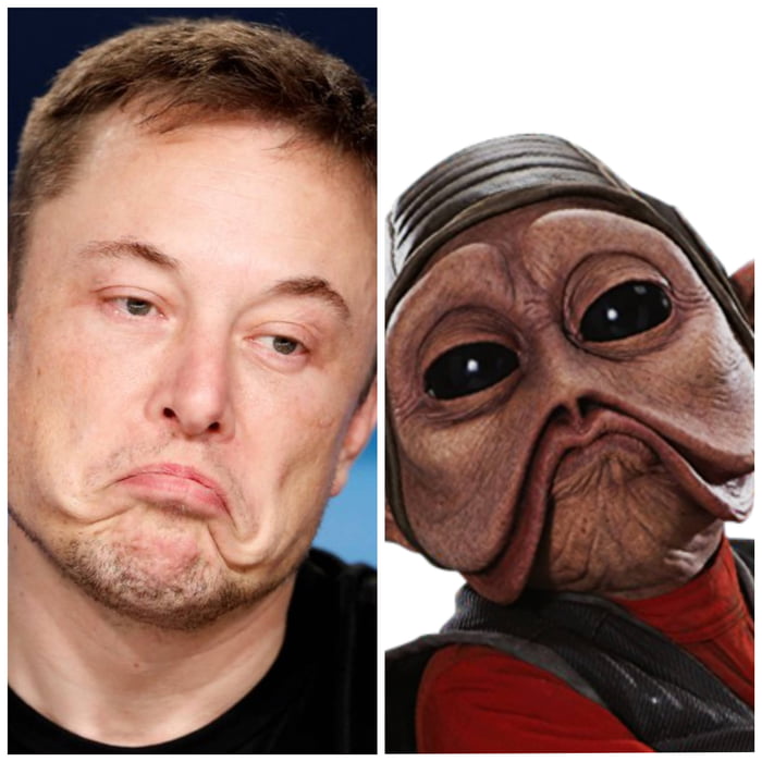Saw a Elon picture and knew it reminded me of something - 9GAG